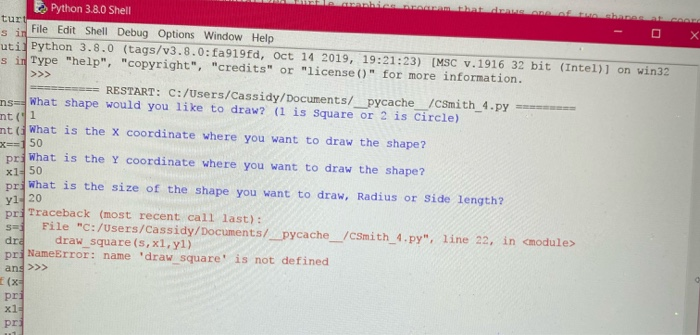 Solved 6 import turtle 7 #This is importing the turtle. 8 | Chegg.com