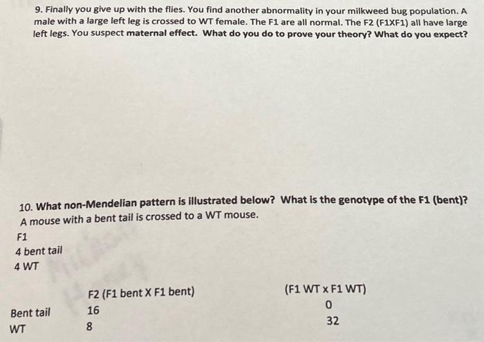Solved 9. Finally you give up with the flies. You find | Chegg.com