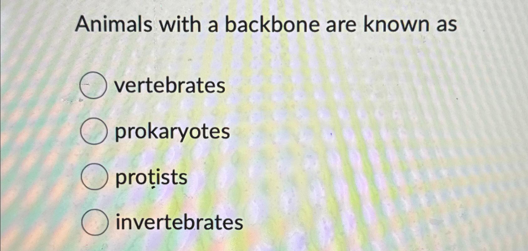 Solved Animals with a backbone are known | Chegg.com