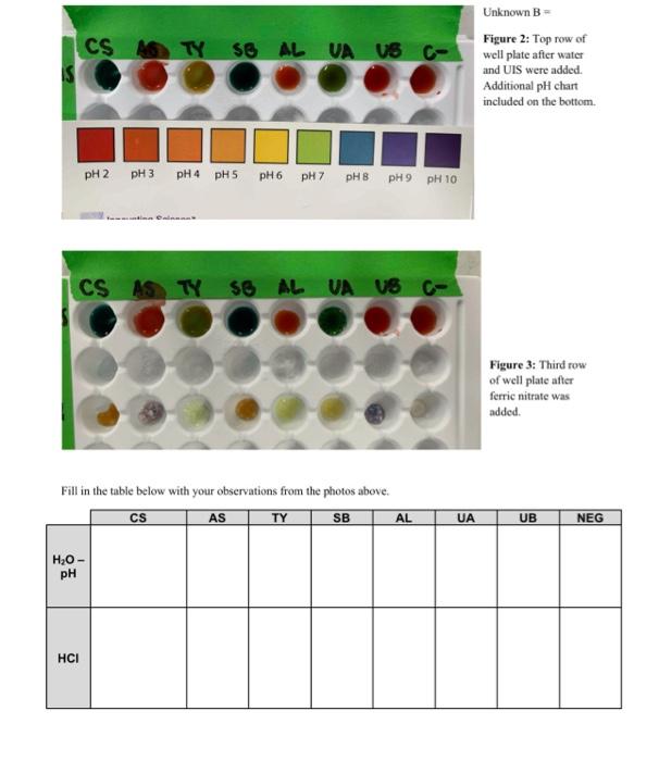 Figure 2: Top row of well plate after water and UIS | Chegg.com