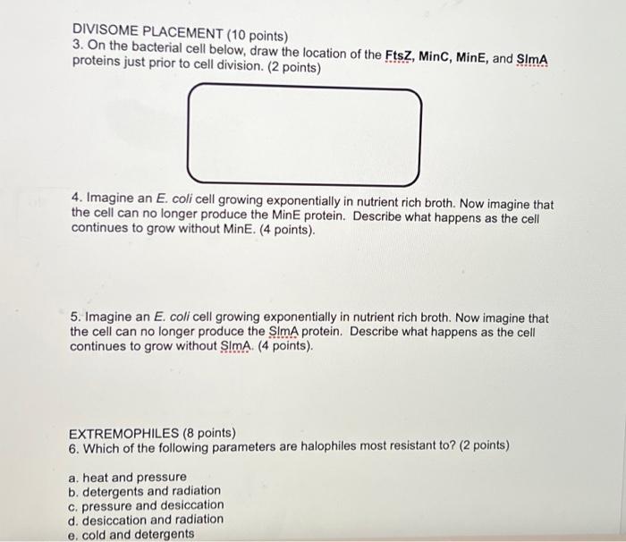 Solved DIVISOME PLACEMENT (10 points) 3. On the bacterial | Chegg.com