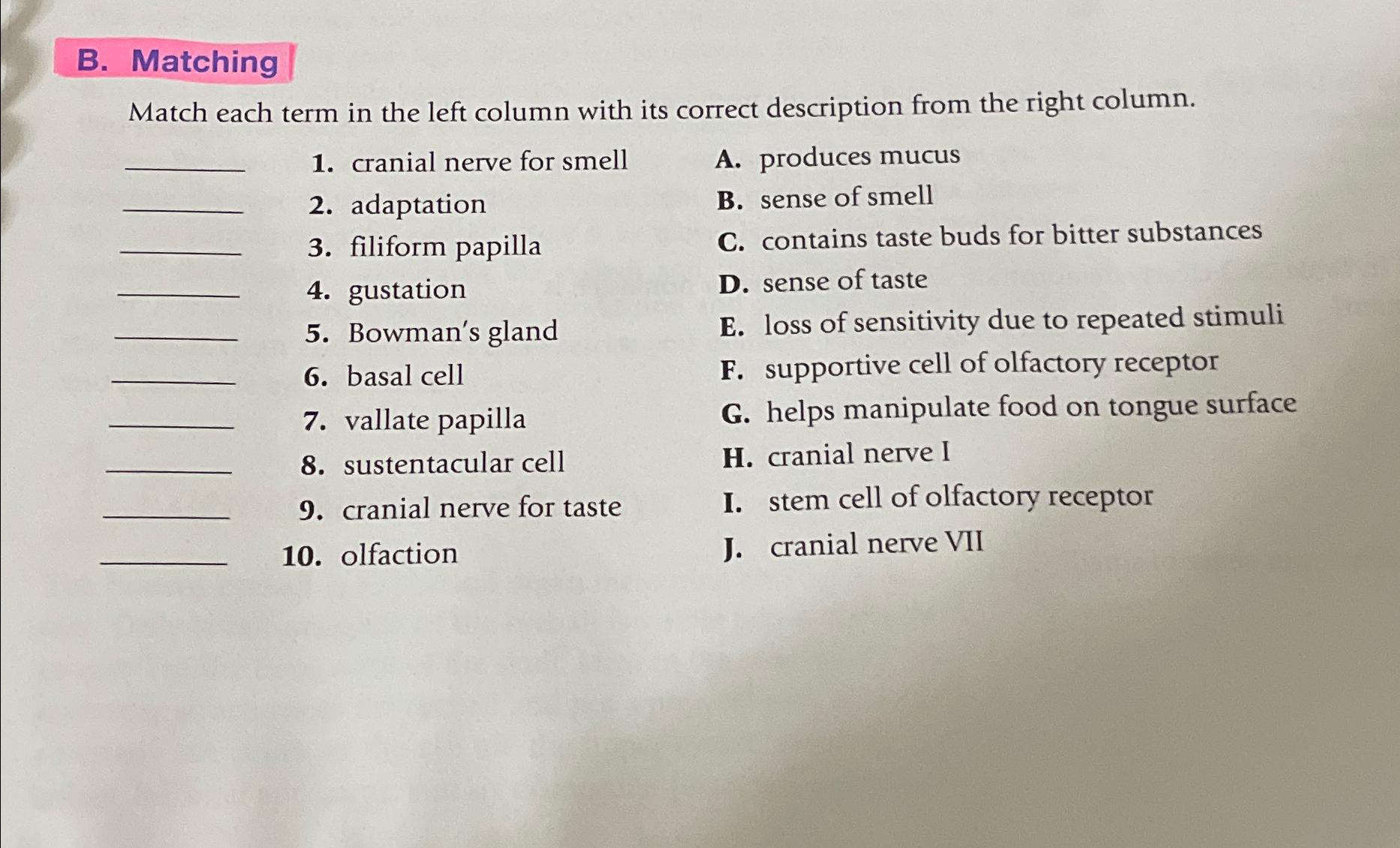 Solved B. ﻿MatchingMatch each term in the left column with | Chegg.com