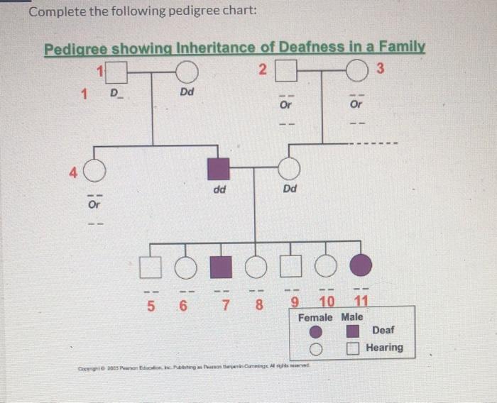 Solved Complete the following pedigree chart: | Chegg.com