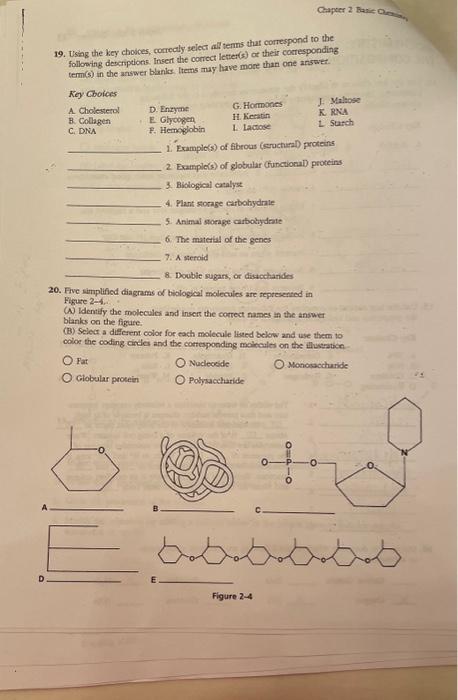 Solved 19. Usiag the key choices, correcty select all tenms | Chegg.com