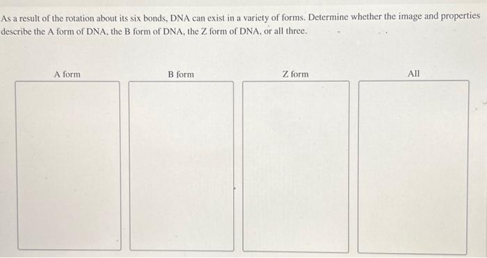 Solved As a result of the rotation about its six bonds, DNA | Chegg.com