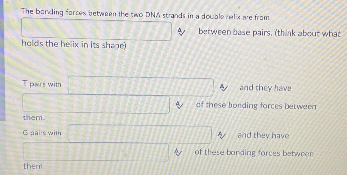 Solved Here is an informational strand of DNA (read from 5' | Chegg.com