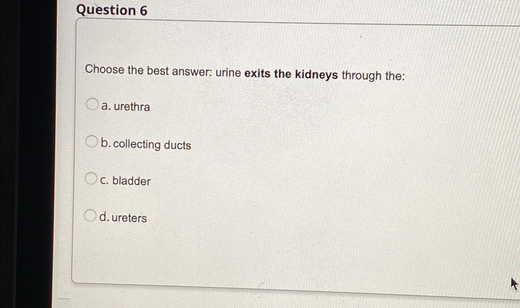 Solved Question 6Choose the best answer: urine exits the | Chegg.com