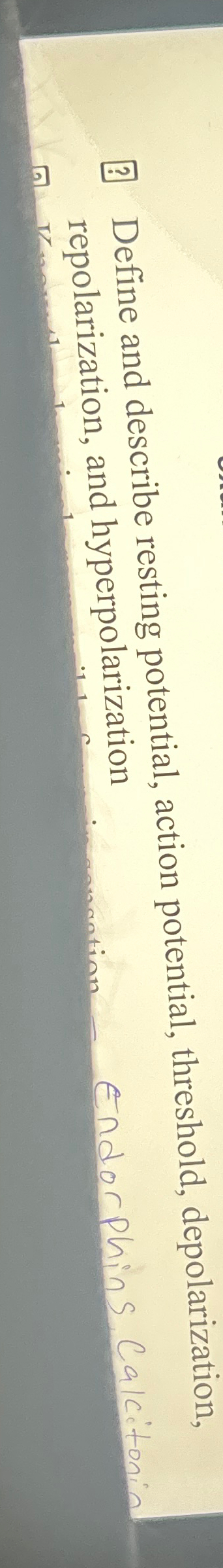 Solved [?] ﻿Define and describe resting potential, action | Chegg.com