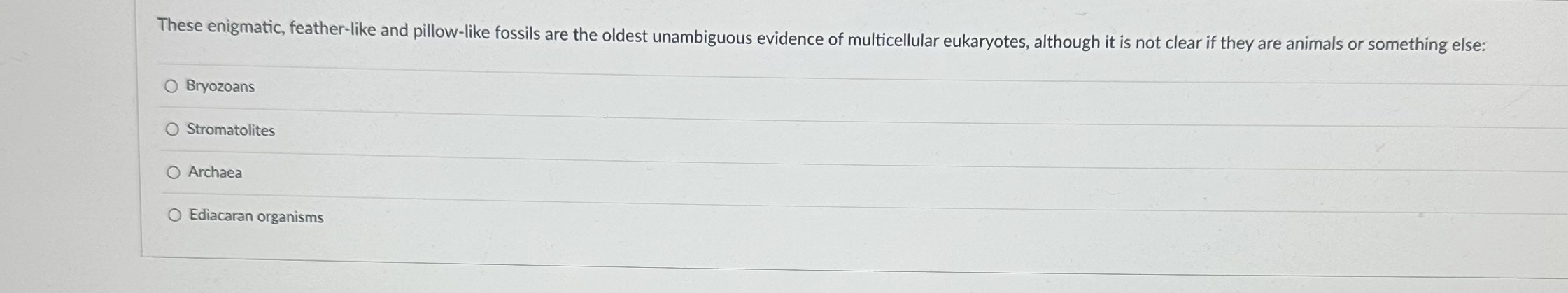 Solved These enigmatic, feather-like and pillow-like fossils | Chegg.com