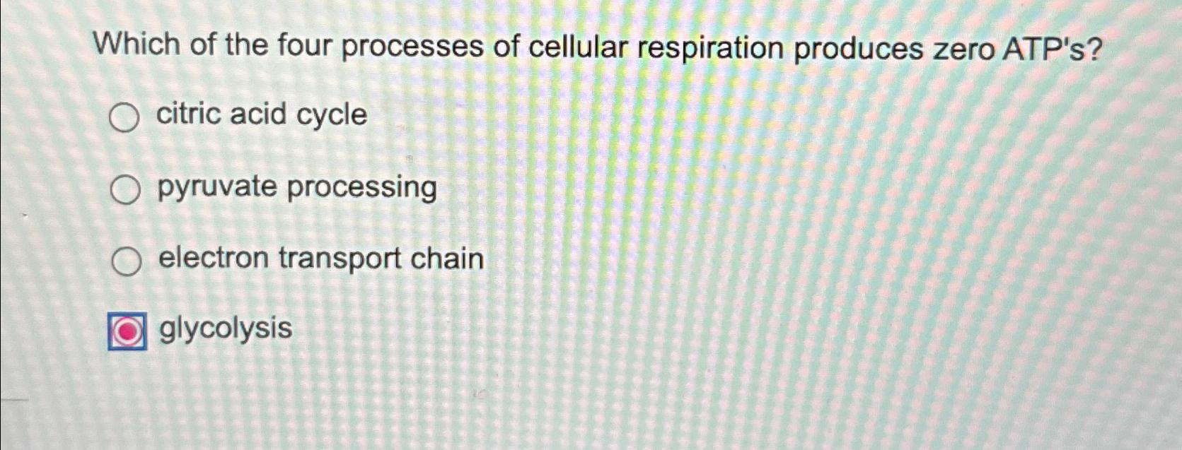 Solved Which of the four processes of cellular respiration | Chegg.com