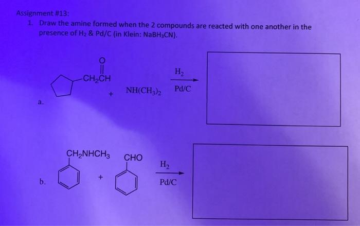 Solved Assignment #13: 1. Draw the amine formed when the 2 | Chegg.com