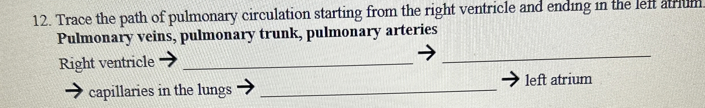 Solved Trace the path of pulmonary circulation starting from | Chegg.com