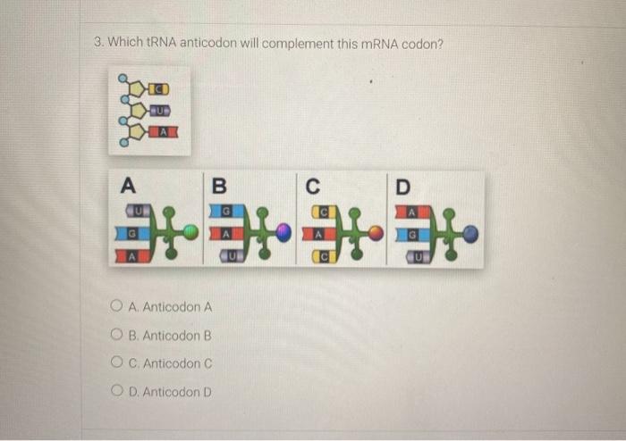 Solved 1. Which mRNA sequence complements the DNA sequence | Chegg.com