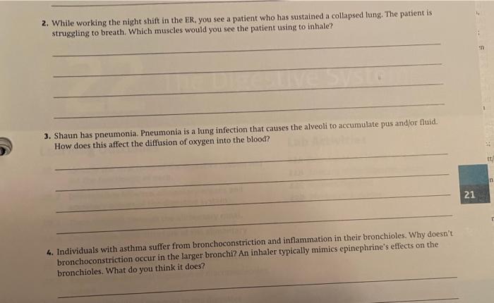 Solved 1. Bronchitis is an infection of the bronchi. When it | Chegg.com