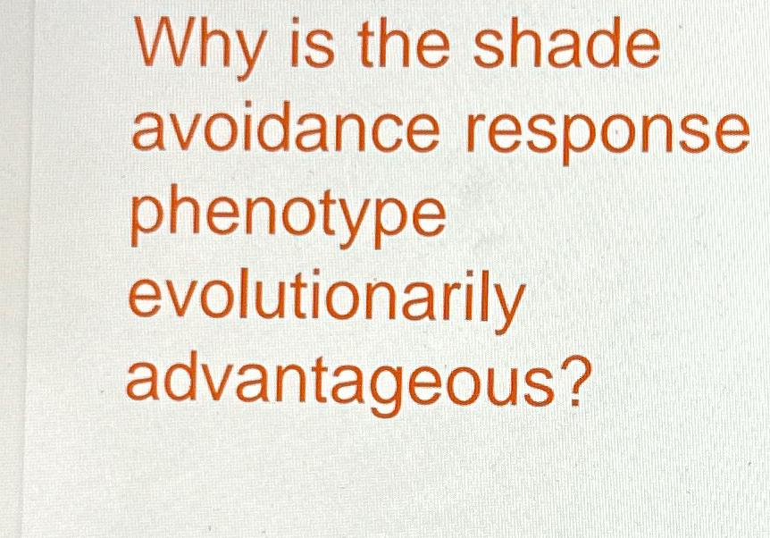 Solved Why is the shade avoidance response phenotype | Chegg.com