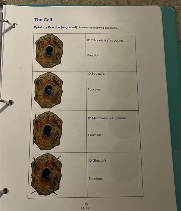 The Cell Cytology Practice (ungraded). Answer the | Chegg.com