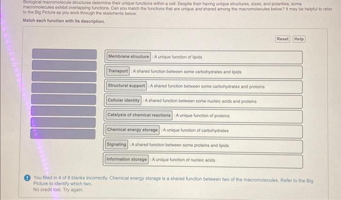 Solved Biological macromolecule structures dotermine their | Chegg.com