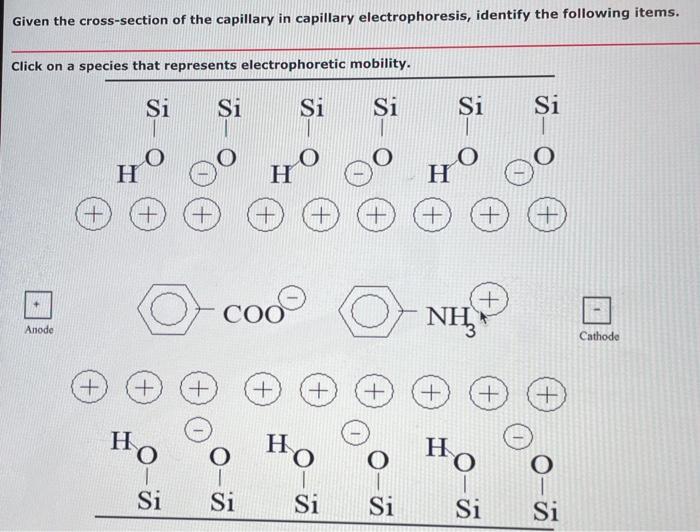 Solved Given the cross-section of the capillary in capillary | Chegg.com