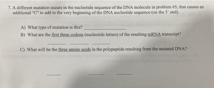 7. A different mutation occurs in the nucleotide | Chegg.com
