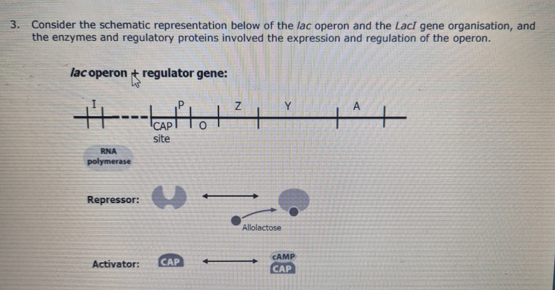 Solved Consider the schematic representation below of the | Chegg.com