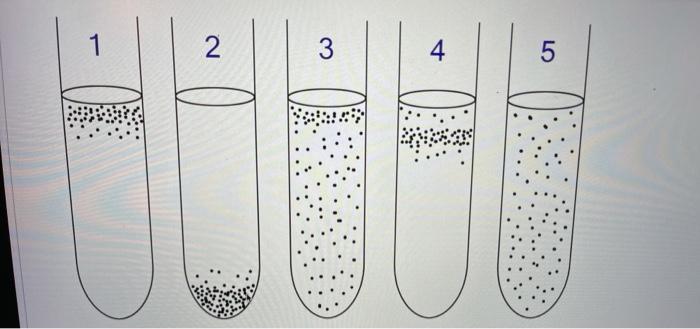 Solved w Based on the results of these tubes, which choice | Chegg.com