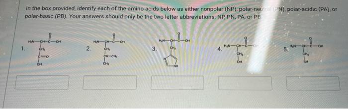 Solved In the box provided, identify each of the amino acids | Chegg.com