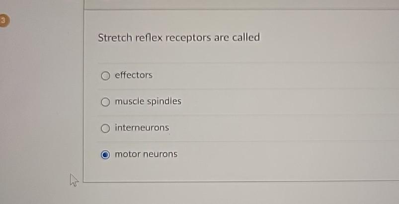 Solved Stretch reflex receptors are calledeffectorsmuscle | Chegg.com