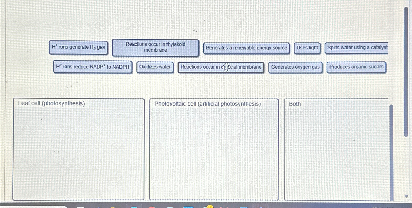 Solved H+ions reduce NADP+to NADPHReactions occur in | Chegg.com