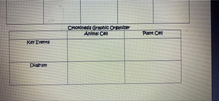 Solved Cell Cycle Graphic Organizer Inter Phase Graphic | Chegg.com