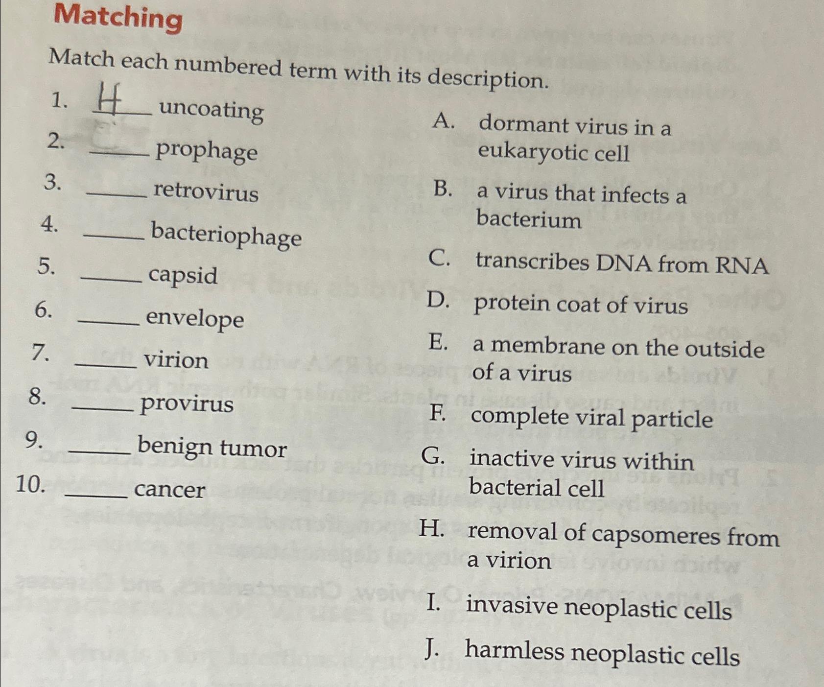 Solved MatchingMatch each numbered term with its | Chegg.com