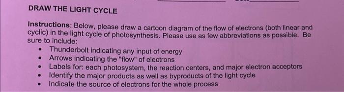 Solved DRAW THE LIGHT CYCLE Instructions: Below, please draw | Chegg.com