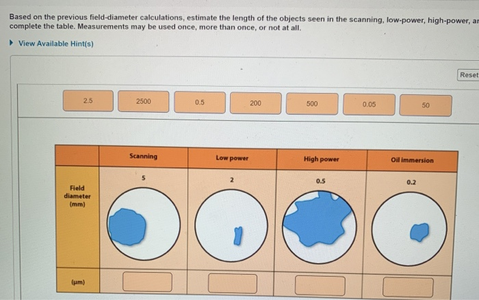 Solved Based on the previous field-diameter calculations, | Chegg.com