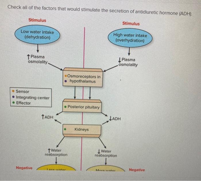 Solved Check all of the factors that imould lone | Chegg.com