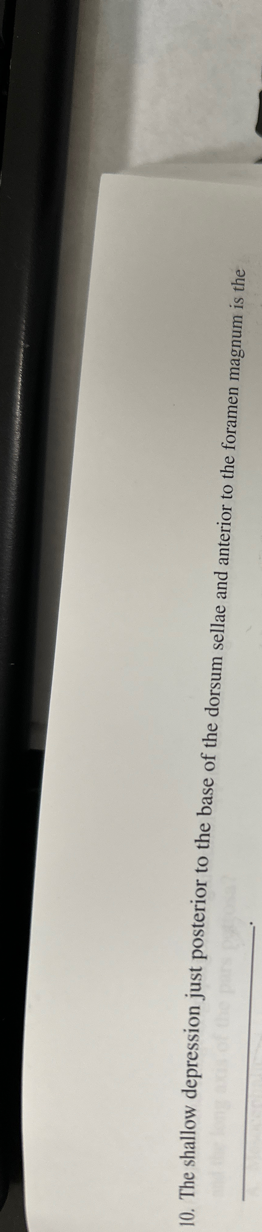 Solved The shallow depression just posterior to the base of | Chegg.com