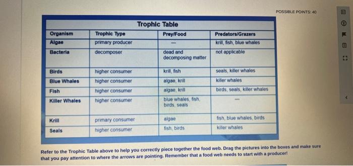 [Solved]: efer to the Trophic Table above to help you co