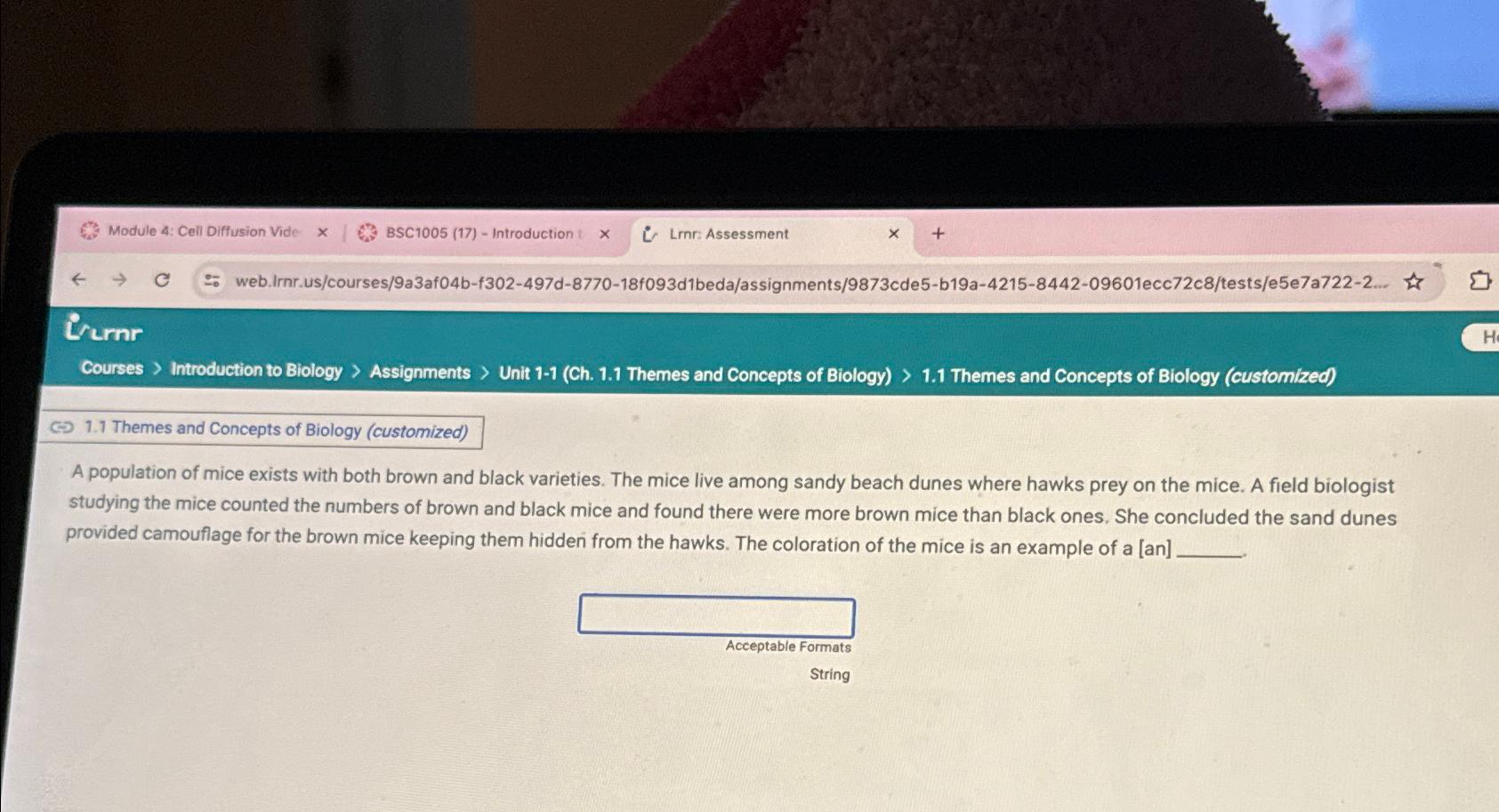 Solved Module 4: Cell Diffusion VideBSC1005 (17) - | Chegg.com