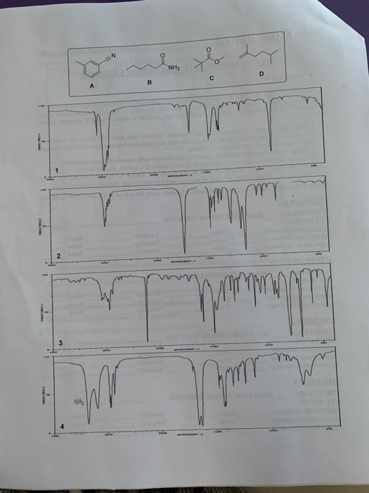 Solved Determine which structure goes to which IR spectra | Chegg.com