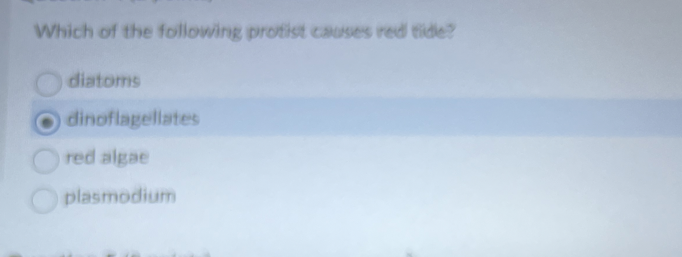Solved Which of the following protist caoses red | Chegg.com