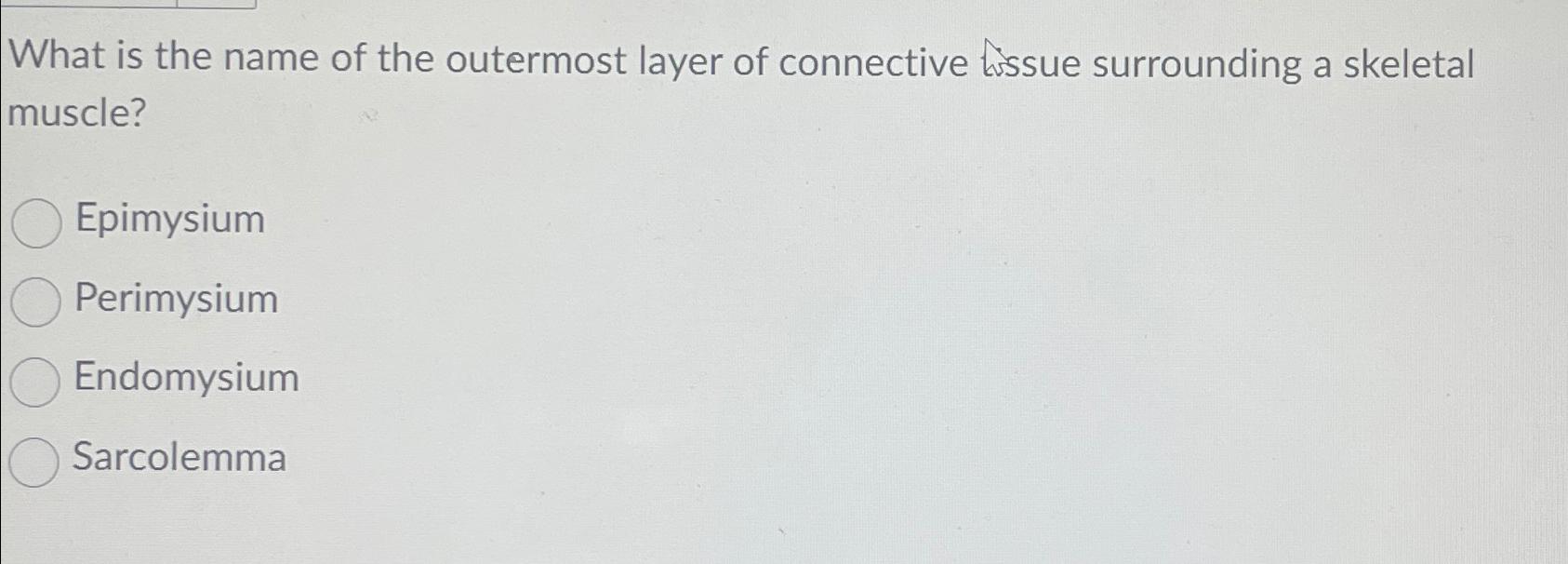 Solved What is the name of the outermost layer of connective | Chegg.com
