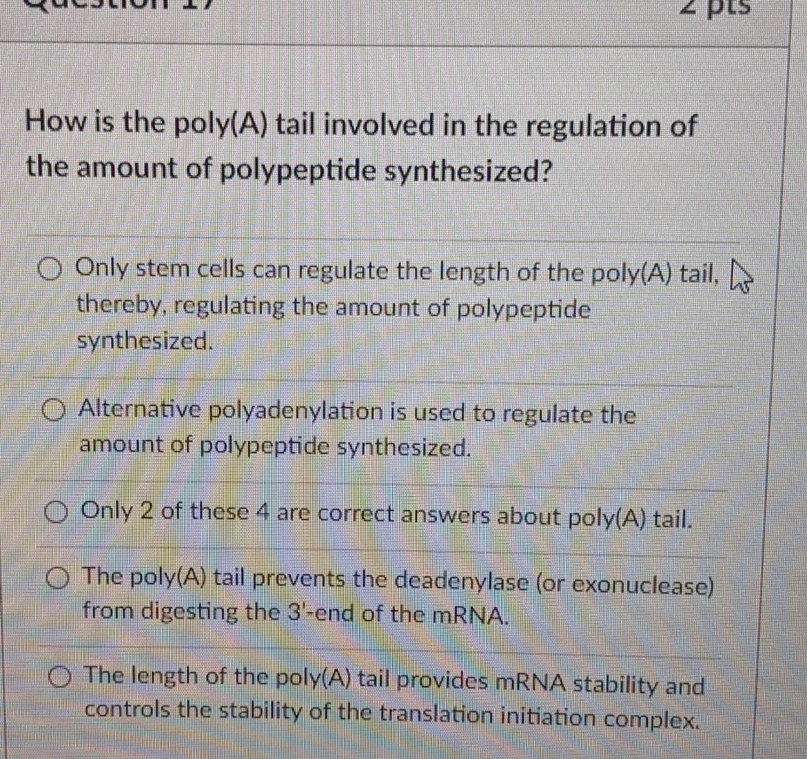 Solved How is the poly(A) tail involved in the regulation of | Chegg.com