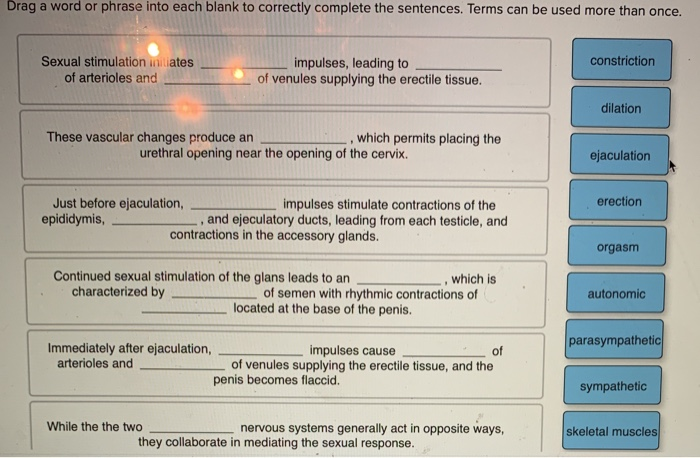 Solved Drag A Word Or Phrase Into Each Blank To Correctly