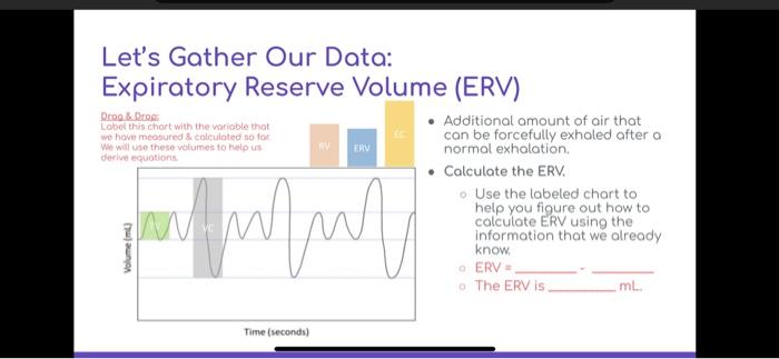 Solved Labeling a Volumes \& Capacities ChartLet's Gather | Chegg.com