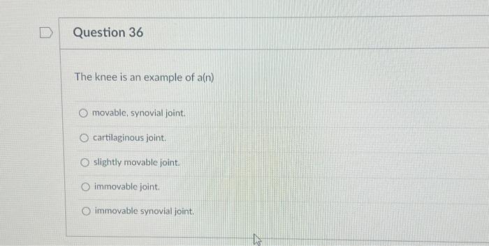 Solved The knee is an example of a(n) movable, synovial | Chegg.com