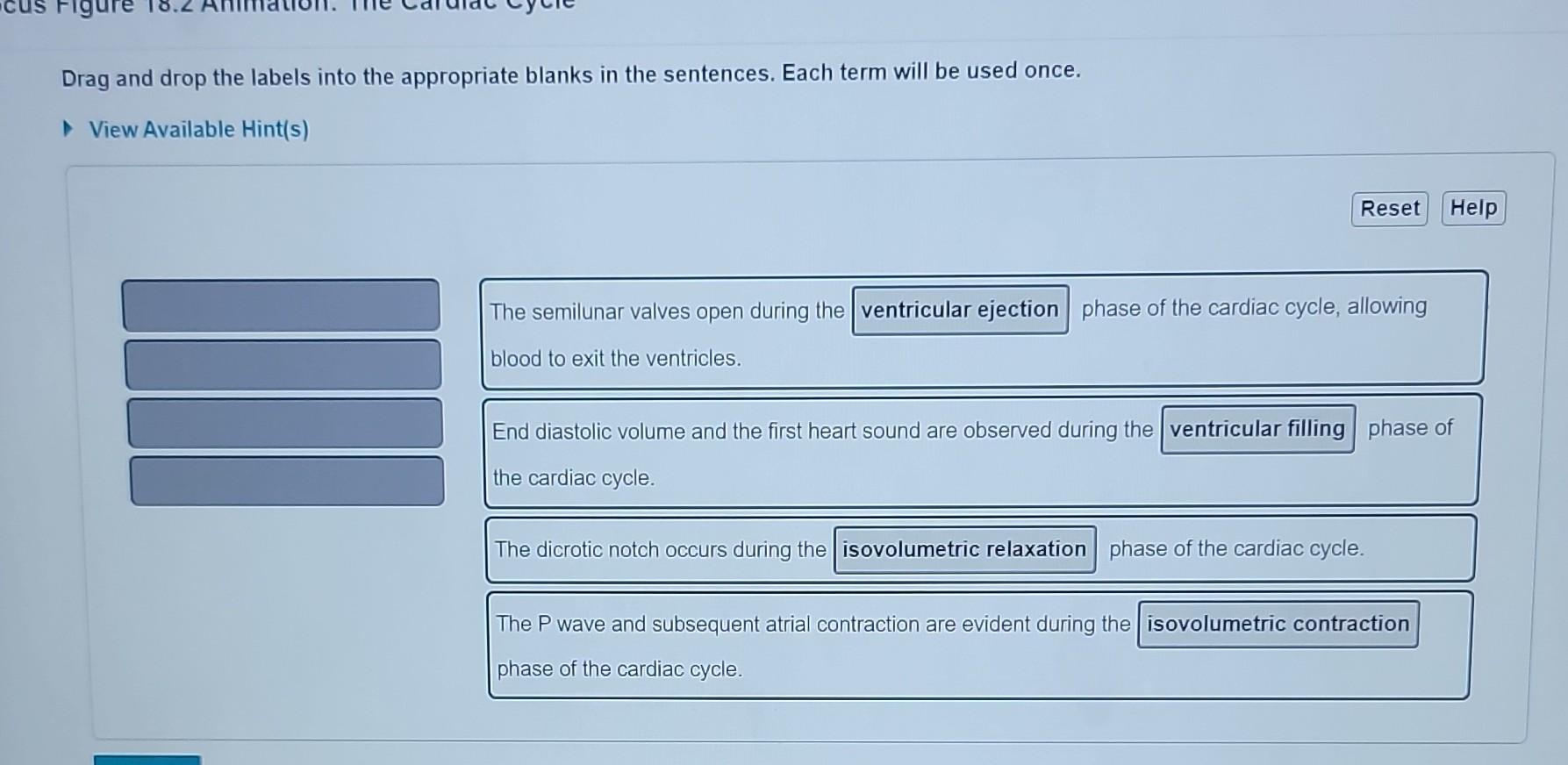 Solved Drag and drop the labels into the appropriate blanks | Chegg.com