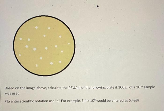 Solved Based on the image above, calculate the PFU/ml of the | Chegg.com