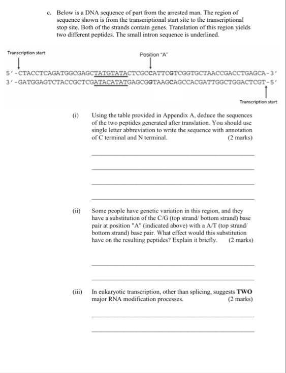 Solved c. ﻿Below is a DNA sequence of part from the arrested | Chegg.com