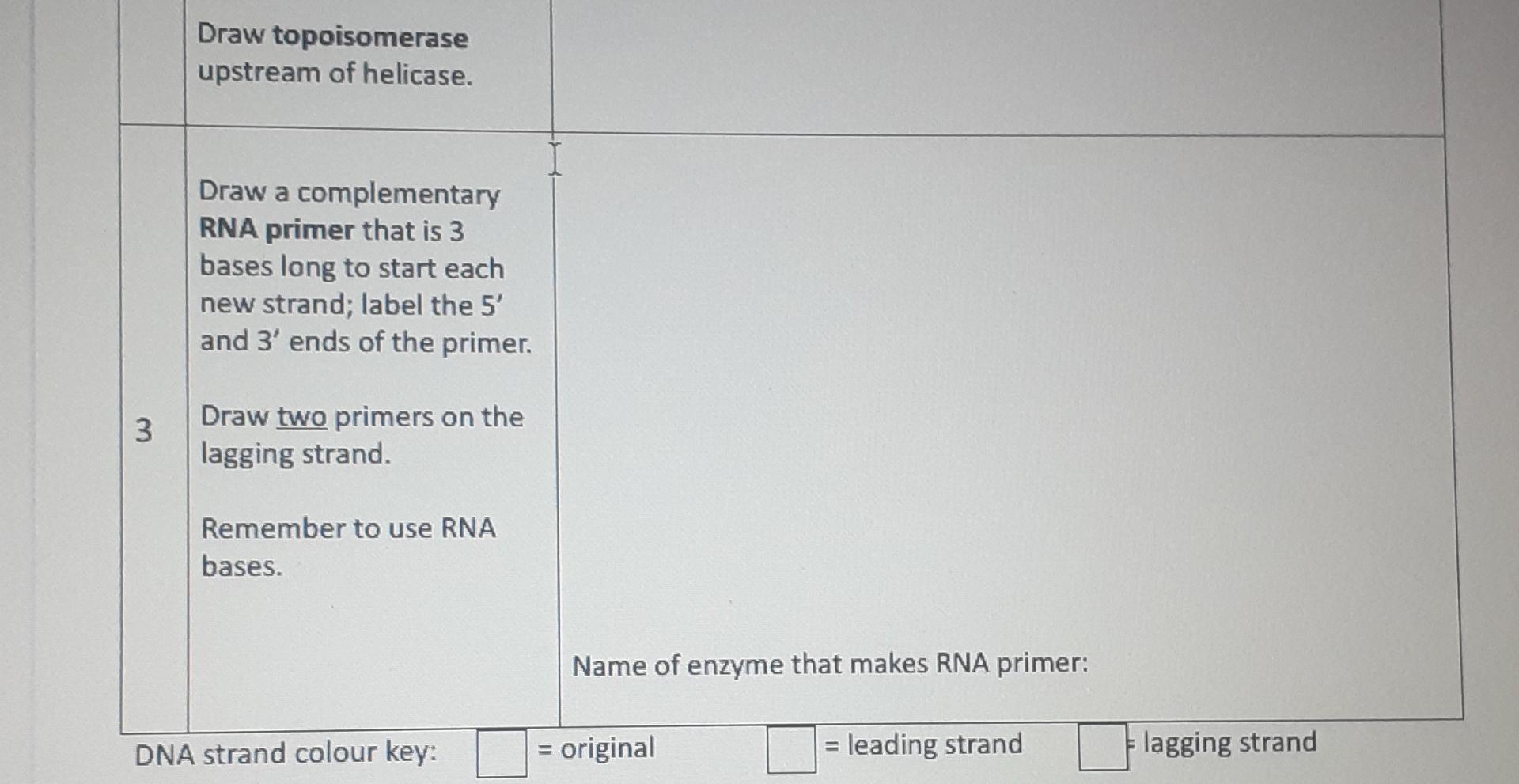 Solved You will draw out the steps of DNA replication. In | Chegg.com