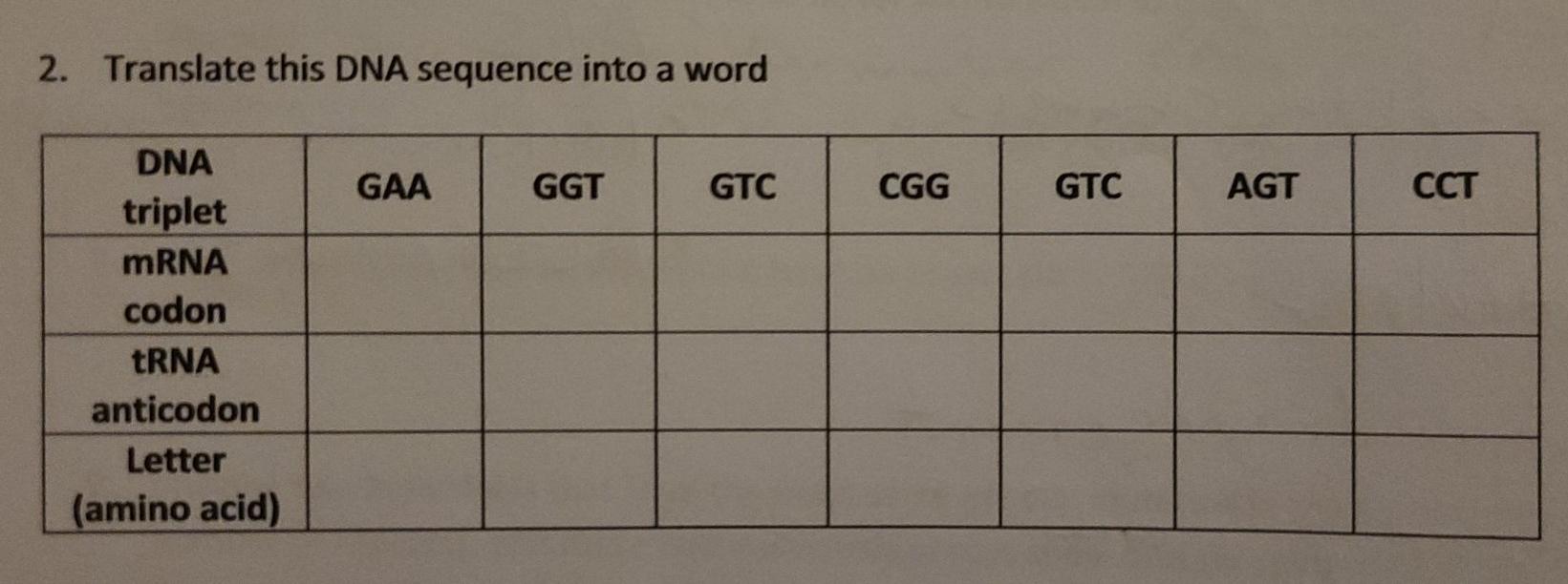 Solved 2. Translate this DNA sequence into a word GAA GGT | Chegg.com