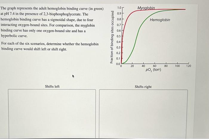 Solved The graph represents the adult hemoglobin binding | Chegg.com