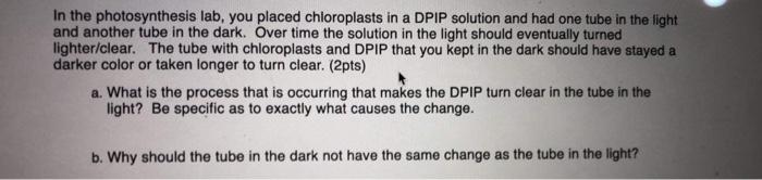 Solved In the photosynthesis lab, you placed chloroplasts in | Chegg.com